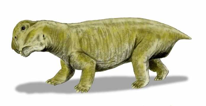 La extinción masiva del Pérmico-Triásico. Causas y consecuencias - Red ...