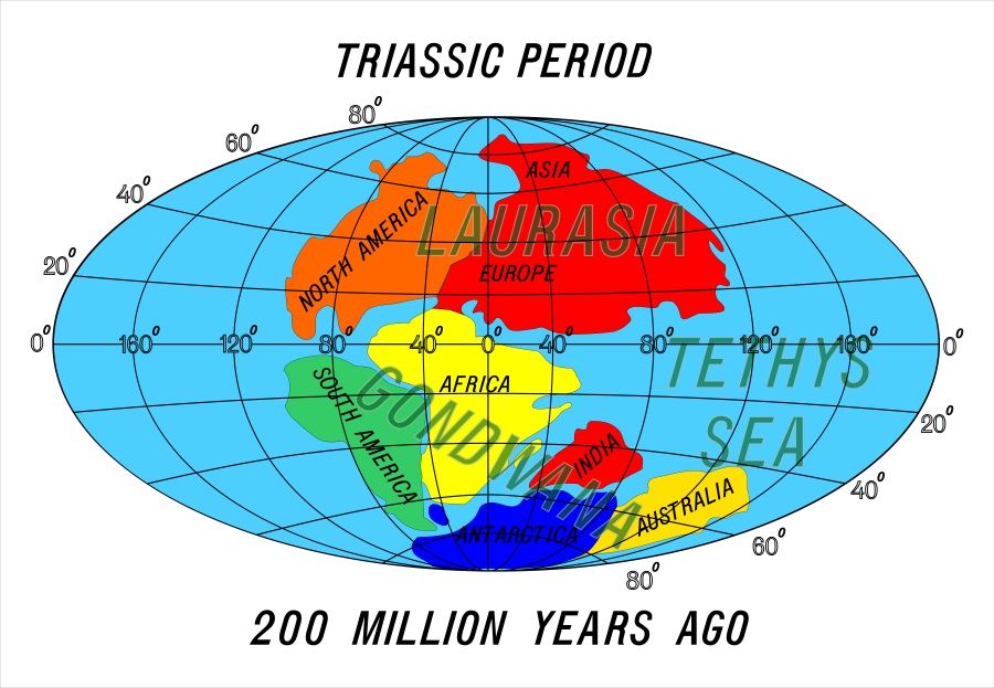 Historia geológica de la Tierra: el periodo Triásico | Red Historia