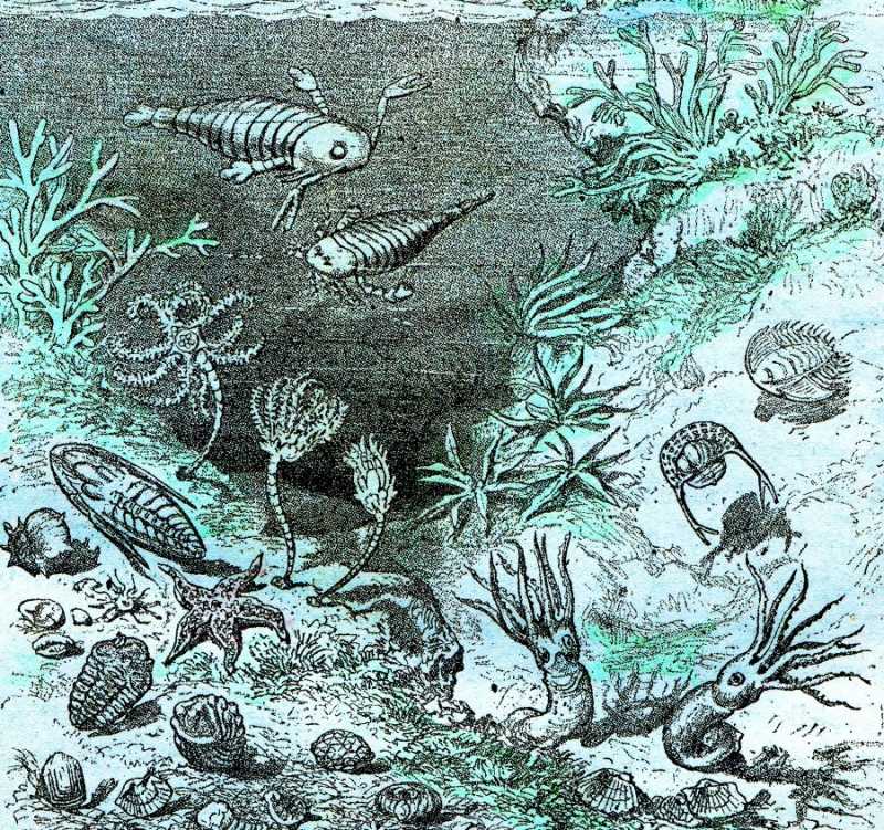 Historia geológica de la Tierra: el periodo Ordovícico - Red Historia