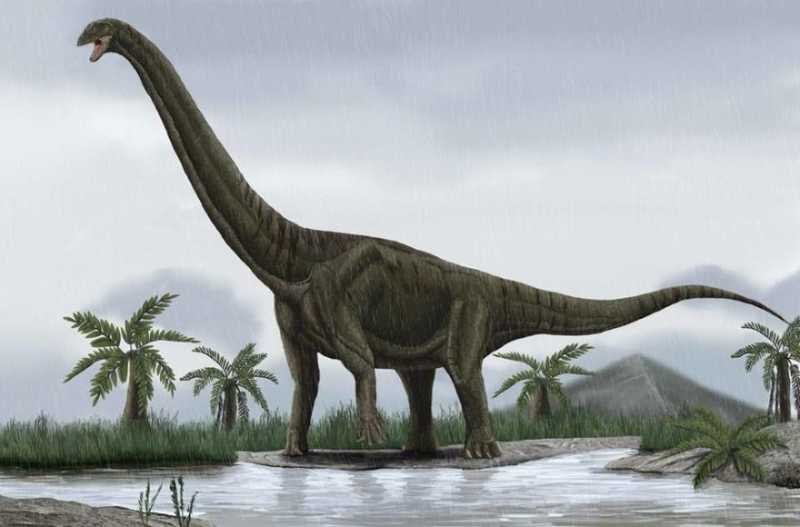 Dinosaurios: Euhelopus, el lagarto del pantano - Red Historia