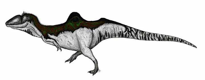Dinosaurios: Altispinax, el dinosaurio de espinas altas - Red Historia