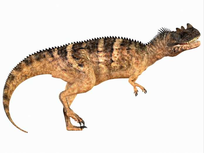 Dinosaurio Ceratosaurus, el 'reptil con cuerno' - Red Historia